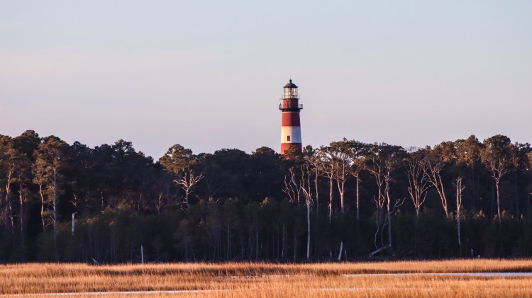 Chincoteague Tourist – Unforgettable memories start here